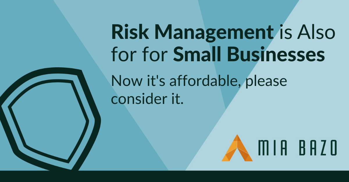 Risk Management is Also for Small Businesses | Mia Bazo